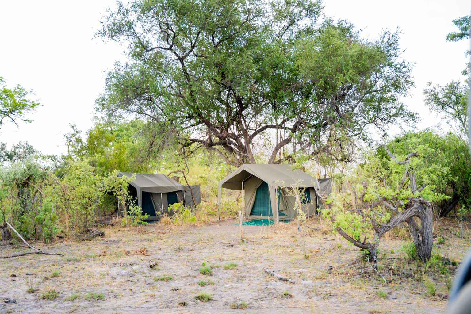 Camp Karangoma Safaris – Just another WordPress site